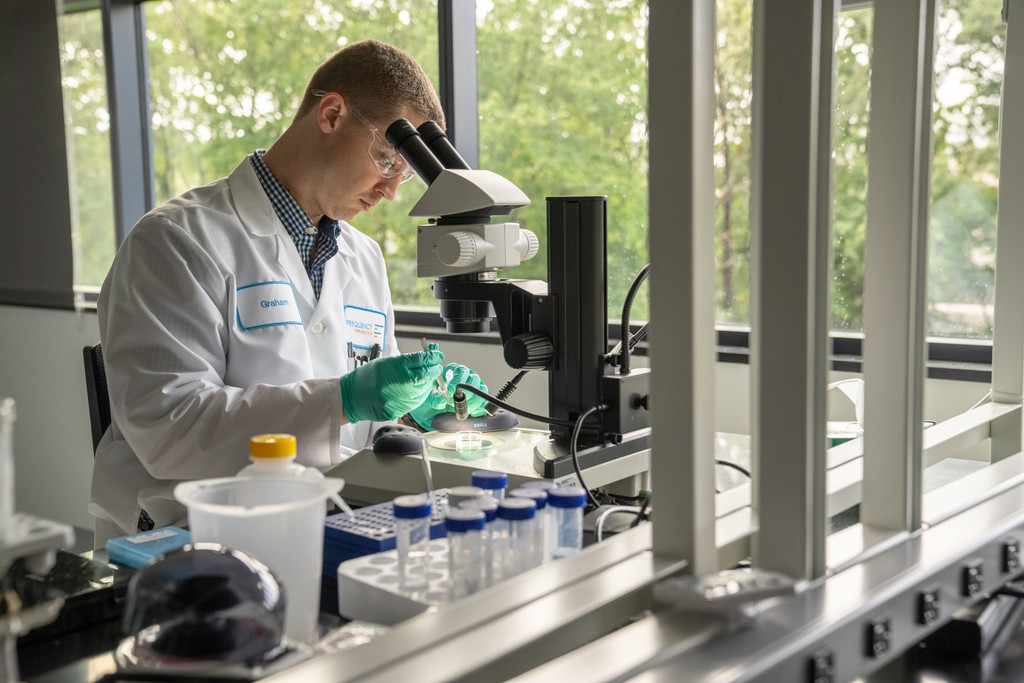 A new drug candidate offers new hope - HEARING LOSS JOURNAL